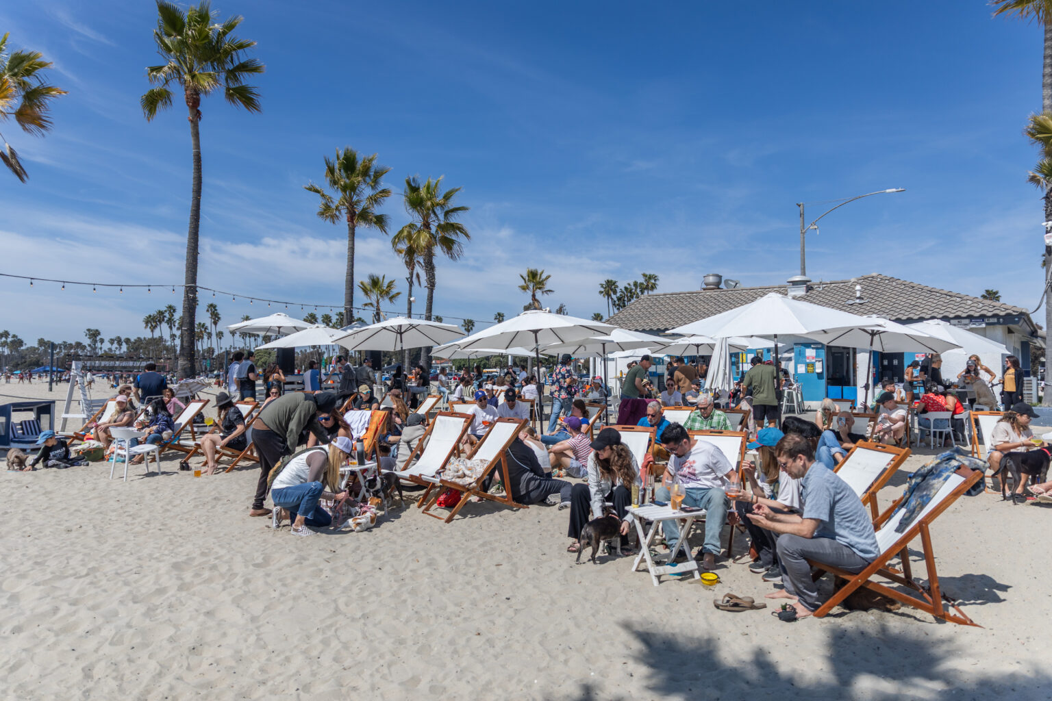 Monty's Dog Beach & Bar - Long Beach